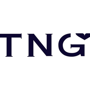 TNG – Brief – [NONRATED] – A glimpse of relief in Mar - 越南KIS証券股份公司 ...